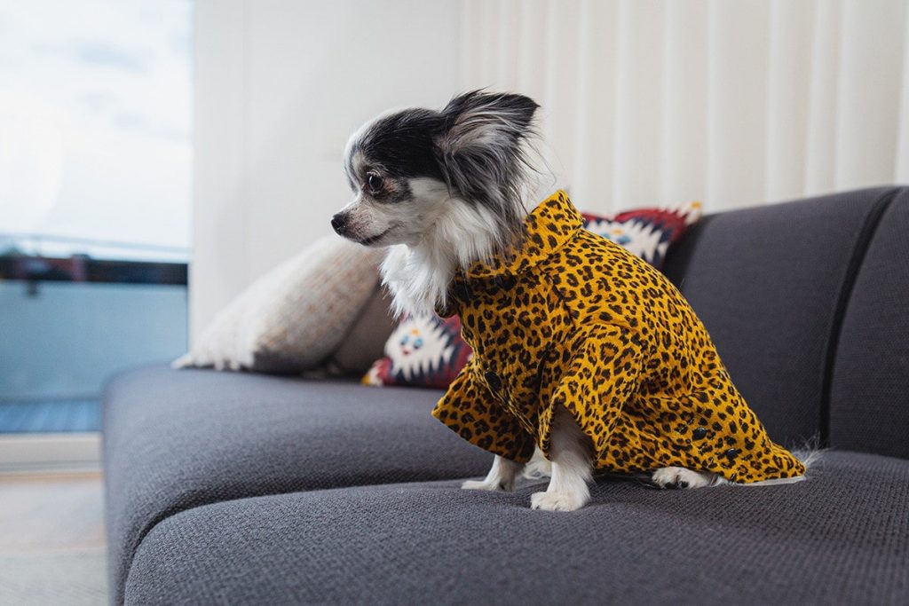 PIŽAMA ZA PSA LEOPARD - Pancho