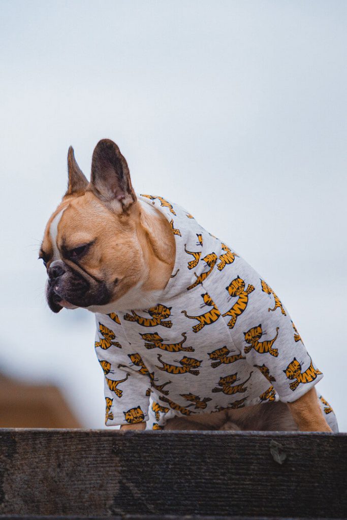 OBLAČILO ZA PSA TIGER - Pancho